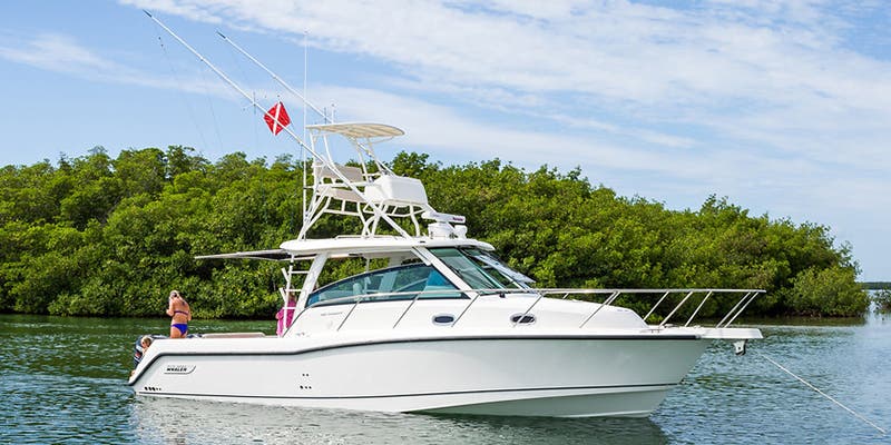 2023 Boston Whaler Conquest 345 specs and literature guide